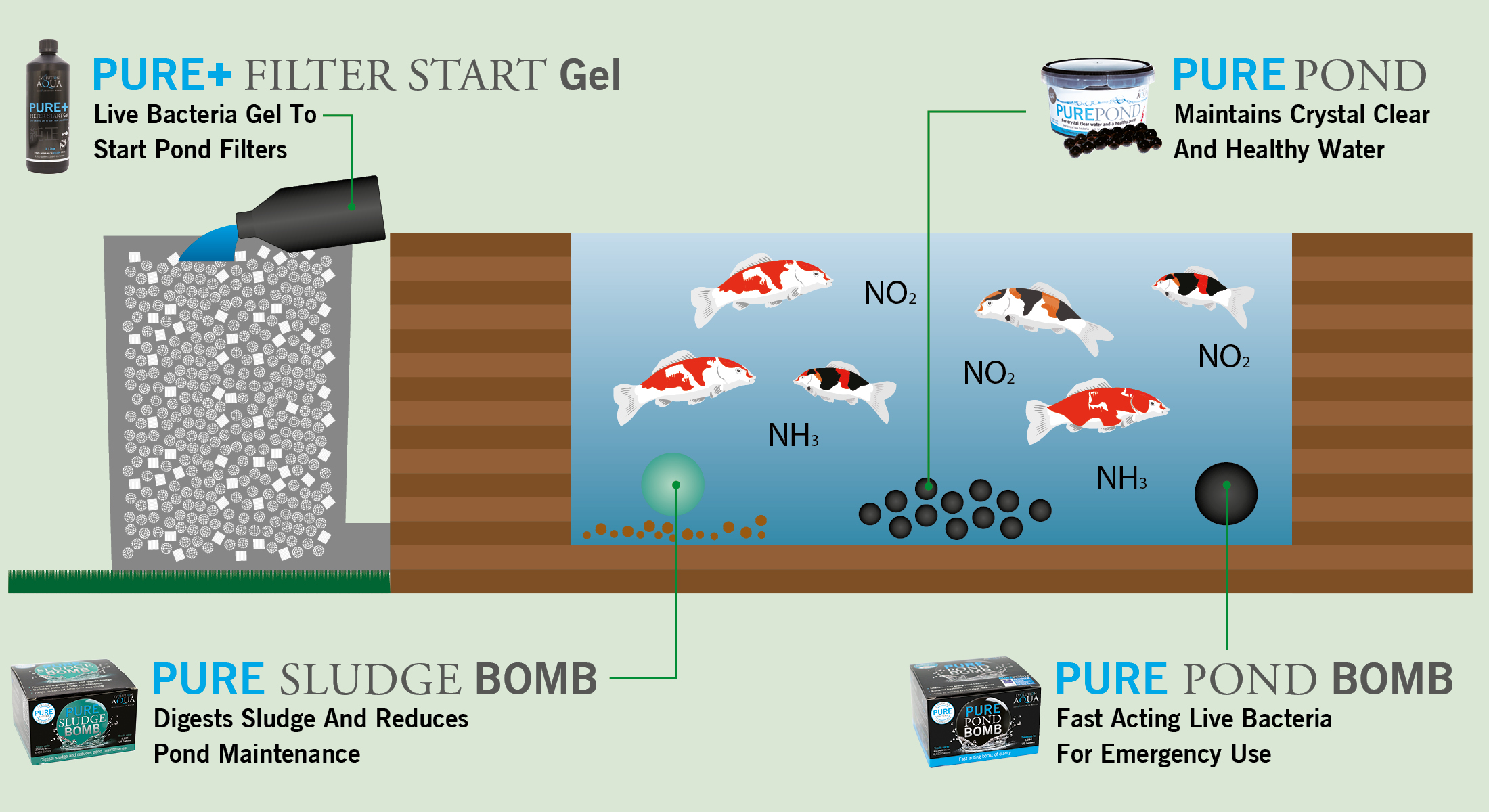 Pure Pond Products| Evolution Aqua