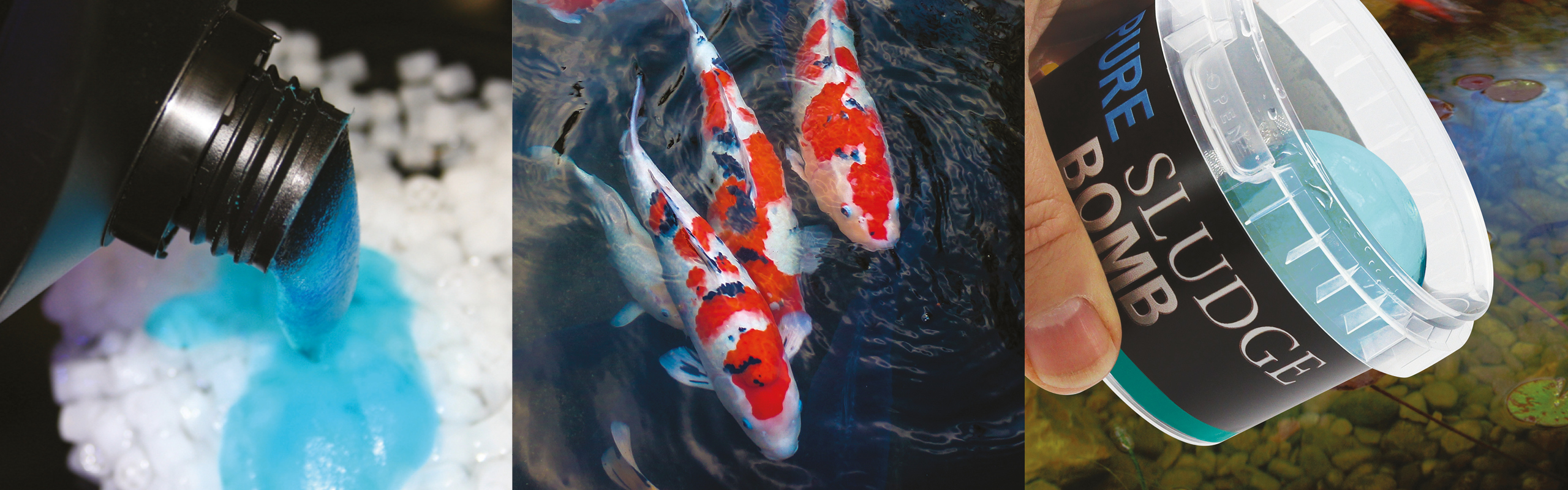 Pure Pond Products| Evolution Aqua