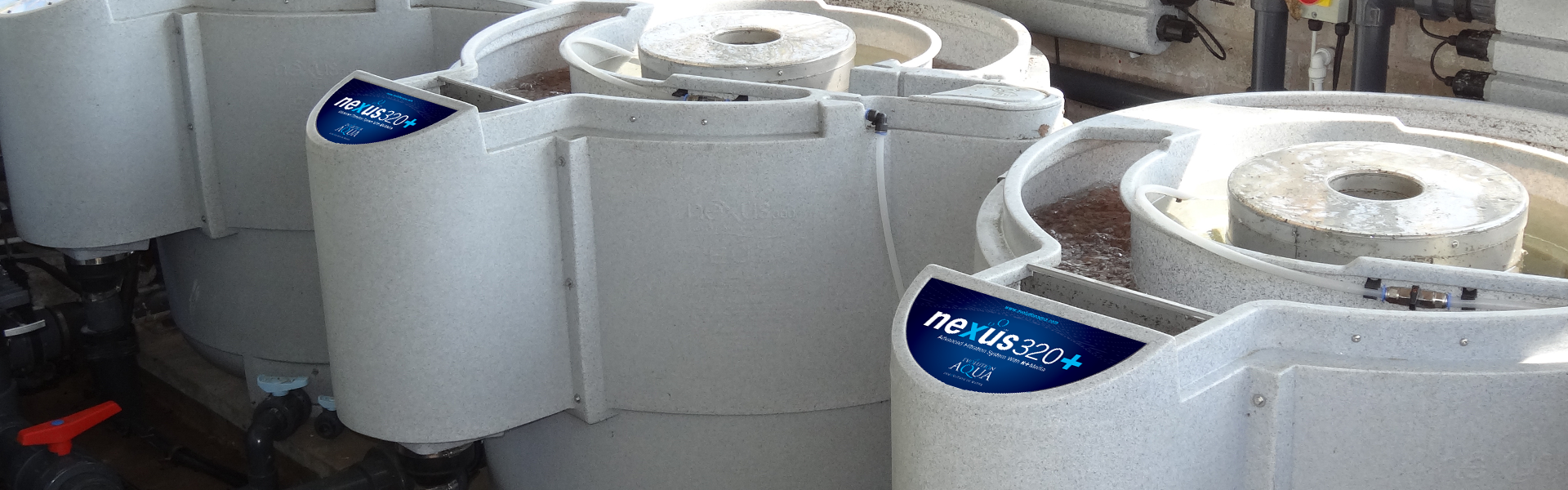 Nexus+ Filters | Evolution Aqua